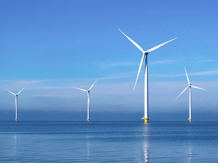 About | Northern Survey